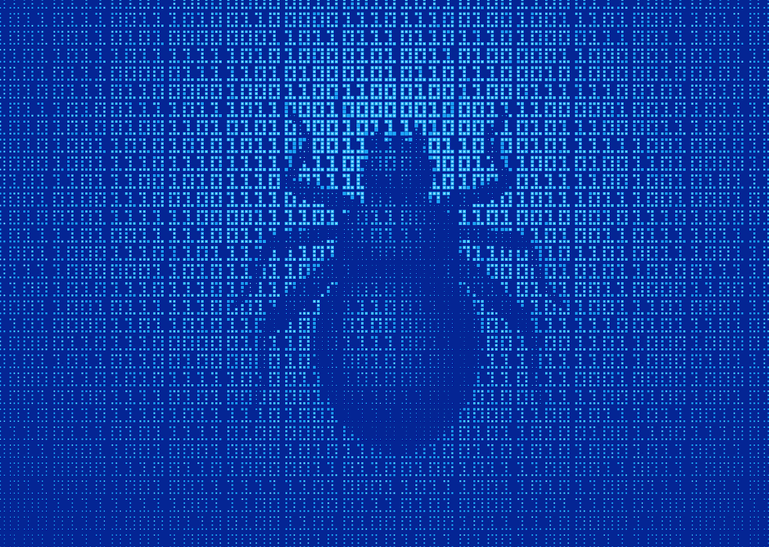 Afinal, o que é considerado um bug? - Zoom Digital